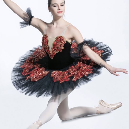 Shop | Twirling Ballerinas